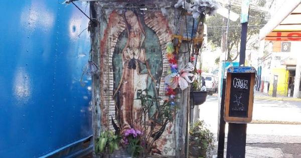 Guadalupe and the future of our common home | National Catholic Reporter